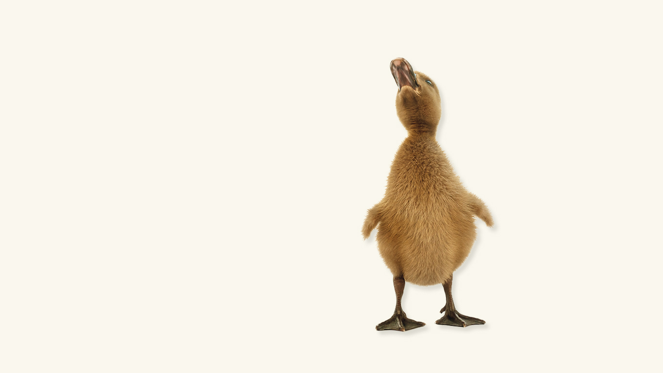 UPP DESIGN STUDIO – 和歌山のWebサイト・ホームページ・グラフィック制作