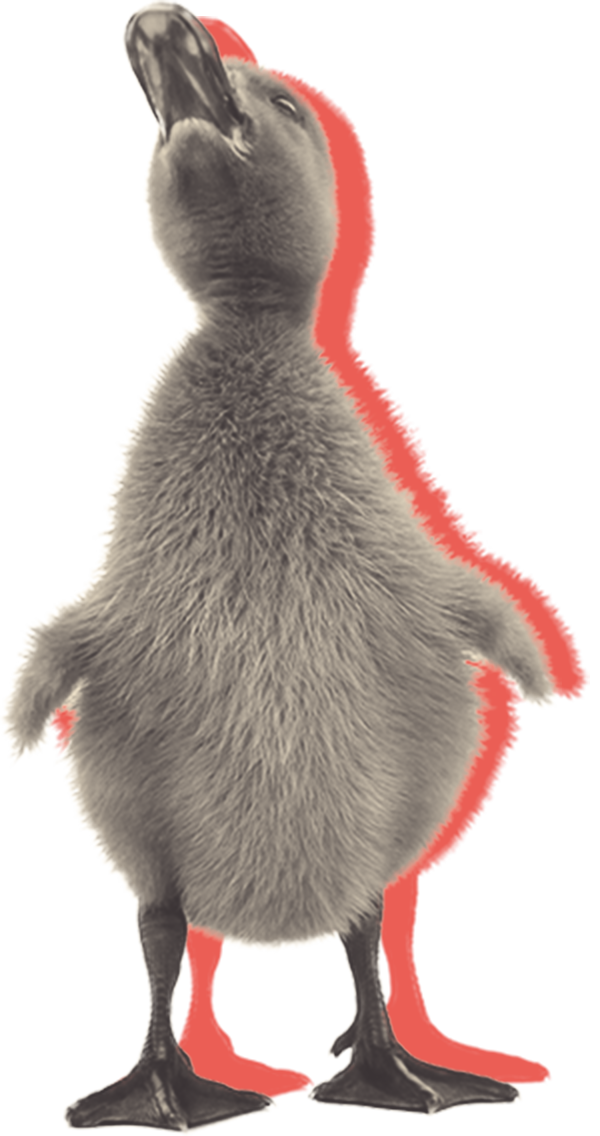 和歌山のホームページ制作・集客サポート | UPP DESIGN STUDIO – 和歌山市のホームページ制作・集客サポート | アップデザインスタジオ